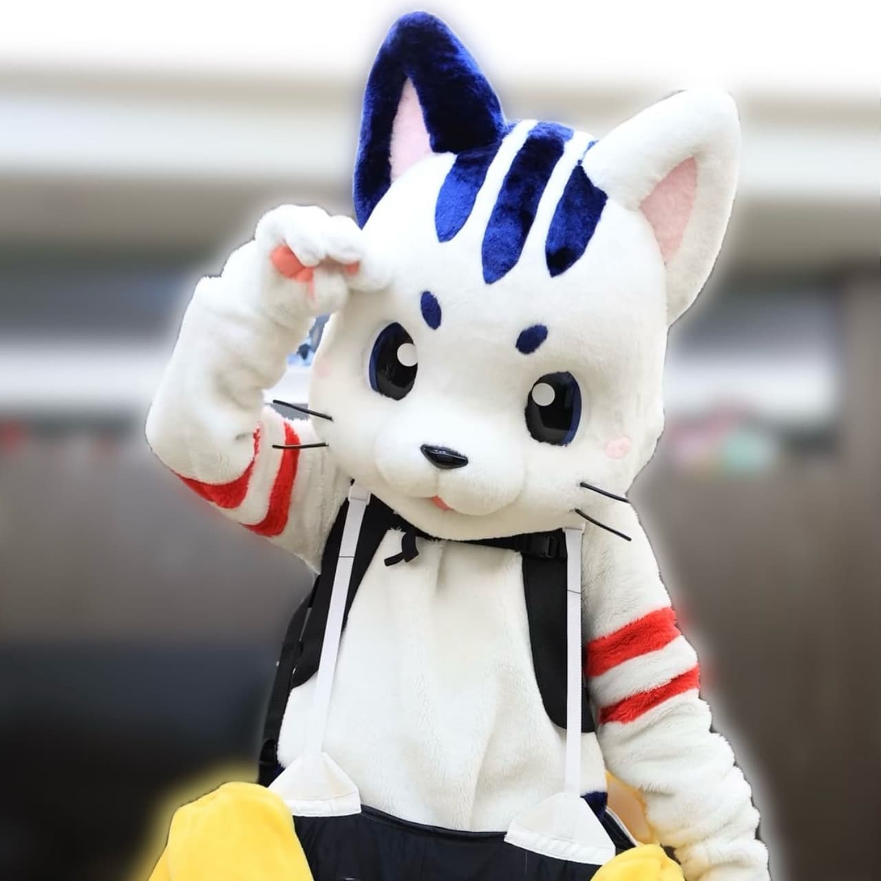 着ぐるみバイト🧸 - 貓月 (@nyanrou_neko) | Dcard