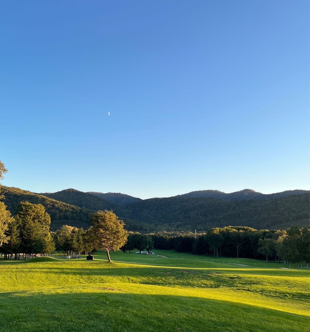 從北海道回來了，遇到好多野生小動物(^o^)/ - 小肥魚魚 (@smallfatfish) | Dcard