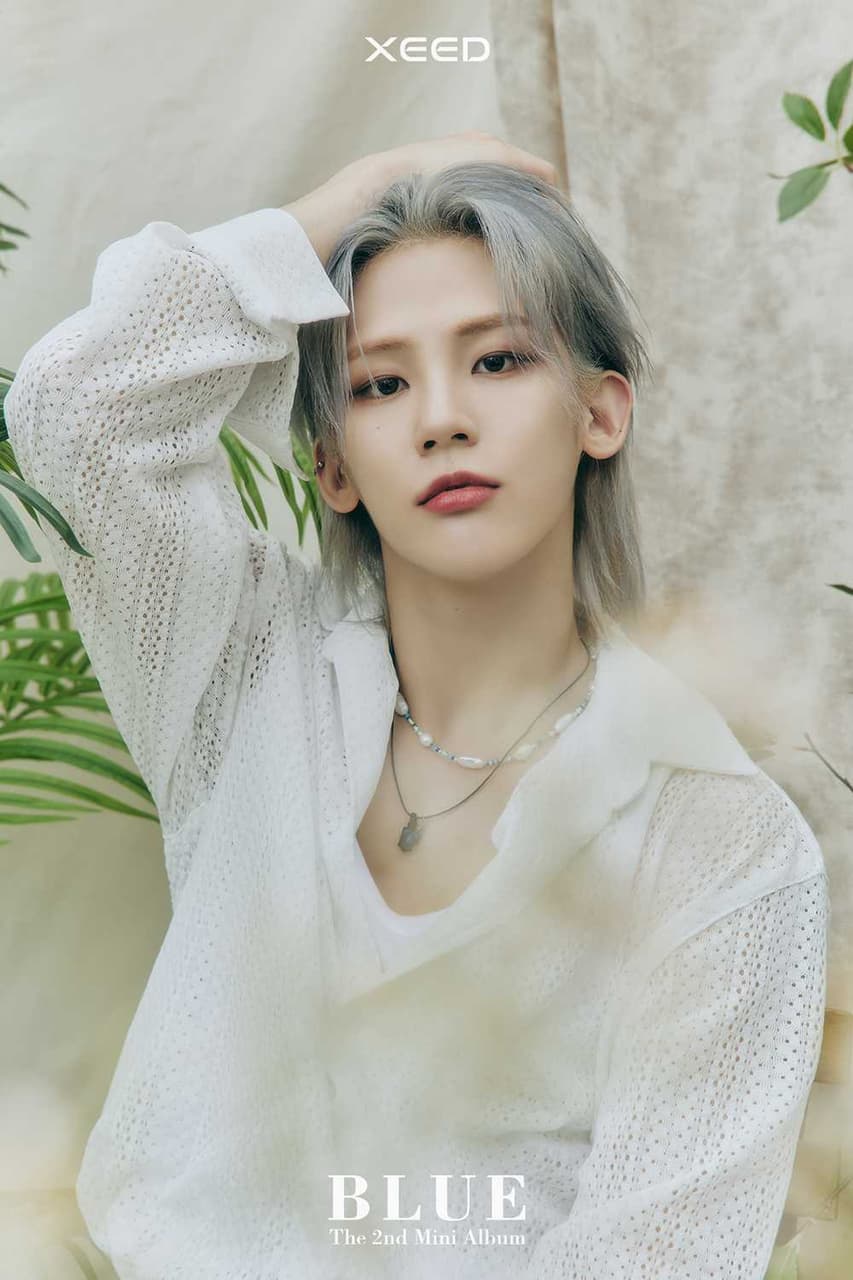 #情報 (內有贈送專輯活動) 加入2位新成員 帶來夏日清涼感回歸的XEED - 追星板 | Dcard