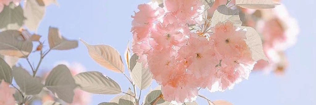 想睡覺的鼠 (@ayanezu) | Dcard