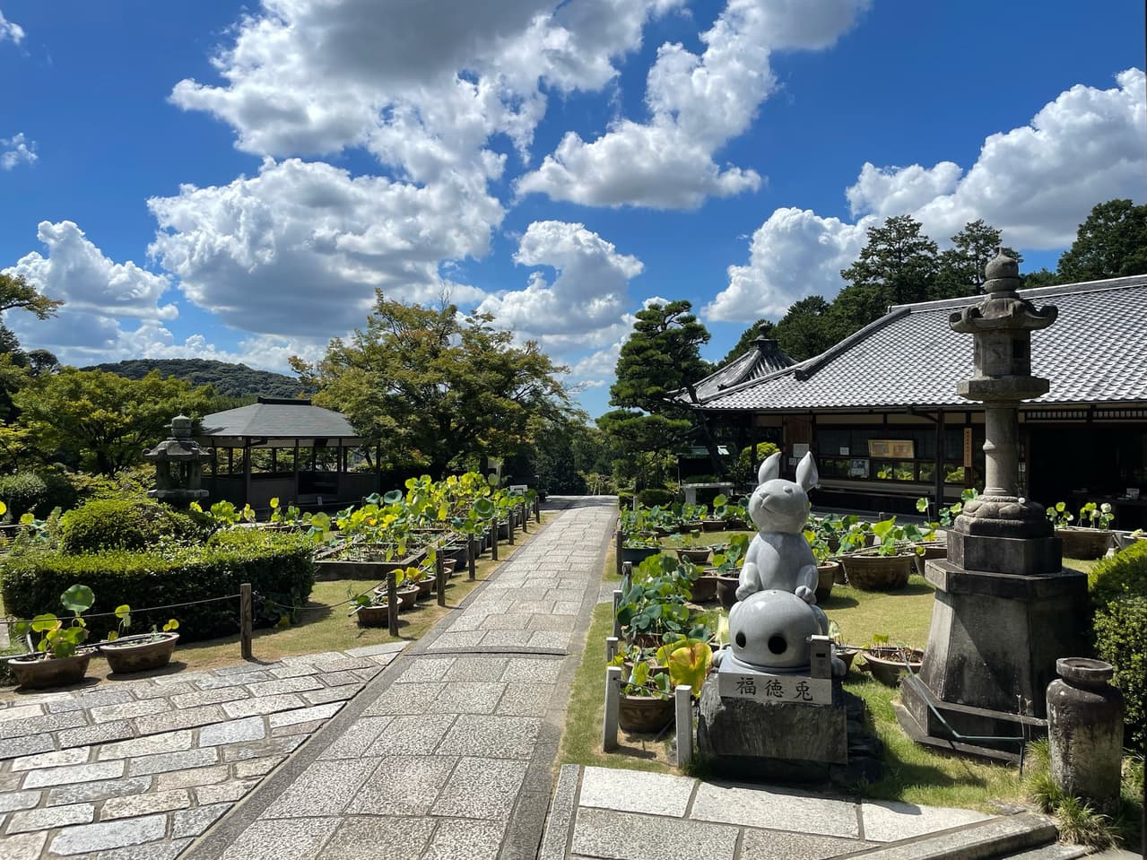 半冷半熱的京都大阪D2 - 日本旅遊板 | Dcard