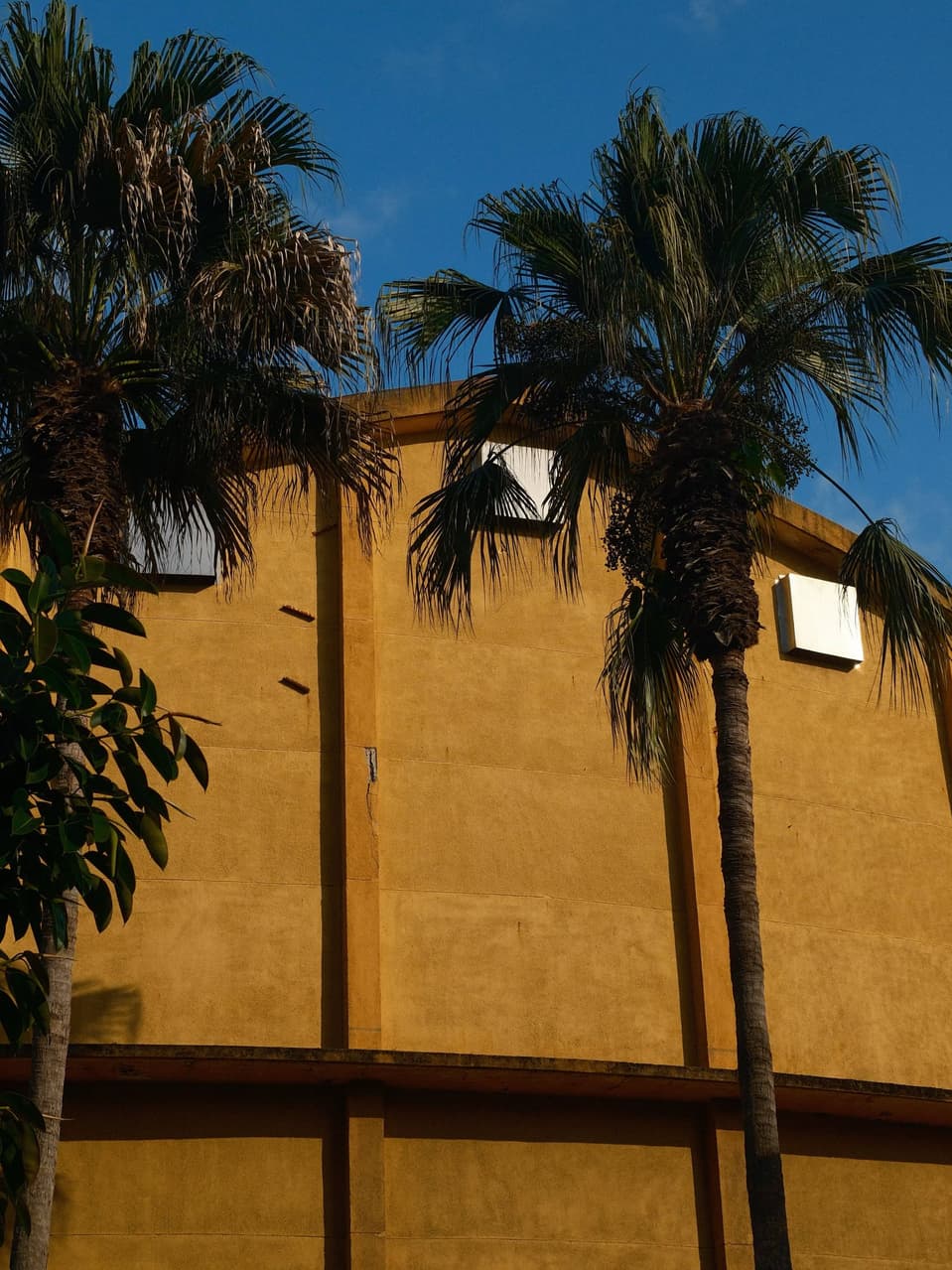 板橋浮洲街景 - 厭市女子日常 (@na_22) | Dcard