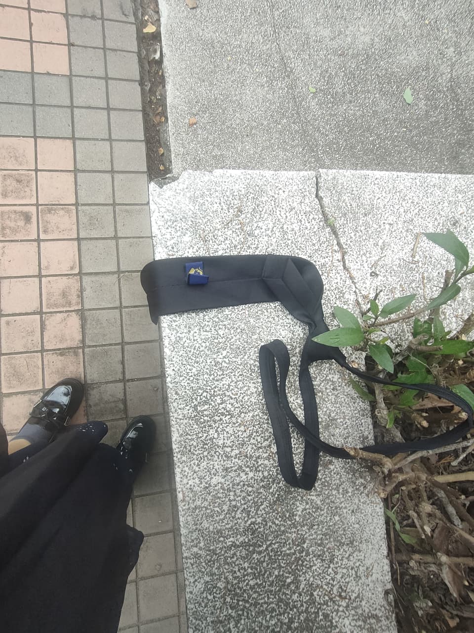 學士服領帶 靜宜大學板 Dcard