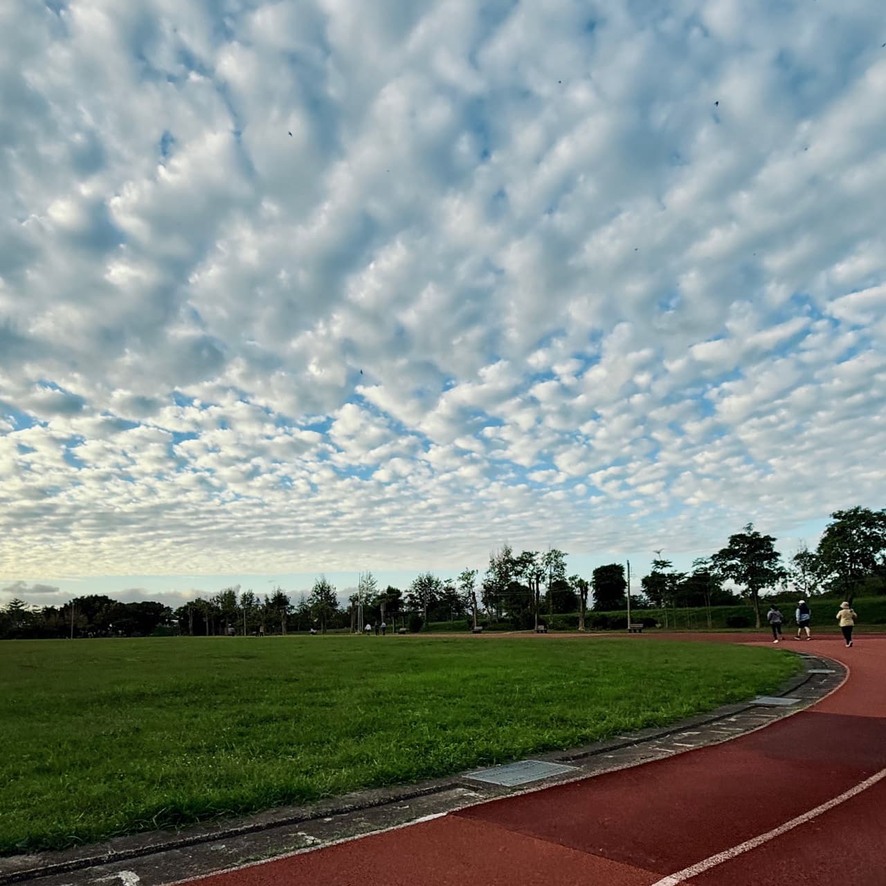 午後跑一波10KM🏃🏽 - 我是鐵爸 (@iamironpa) | Dcard