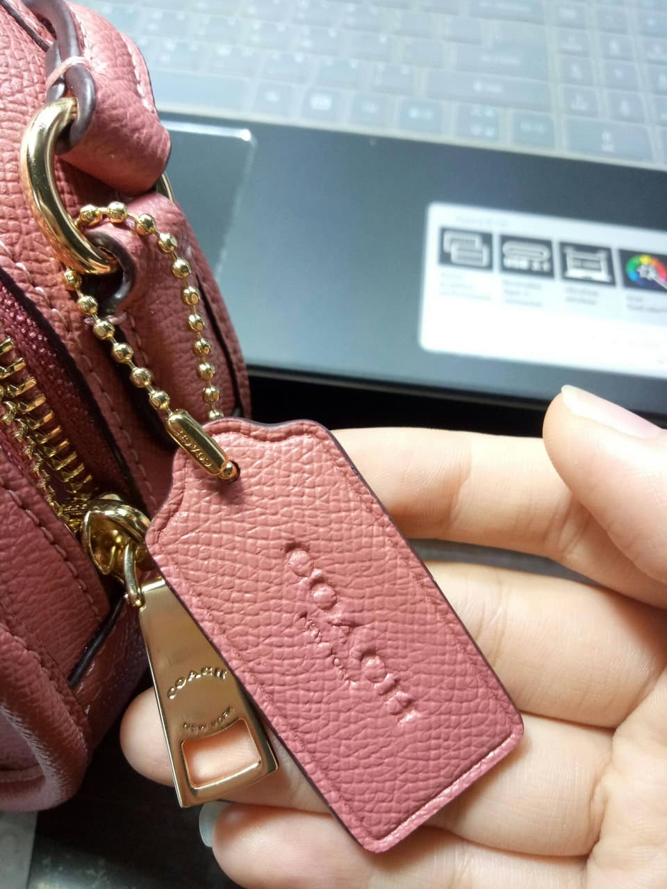 新入手的coach小圓包 - 女孩板 | Dcard