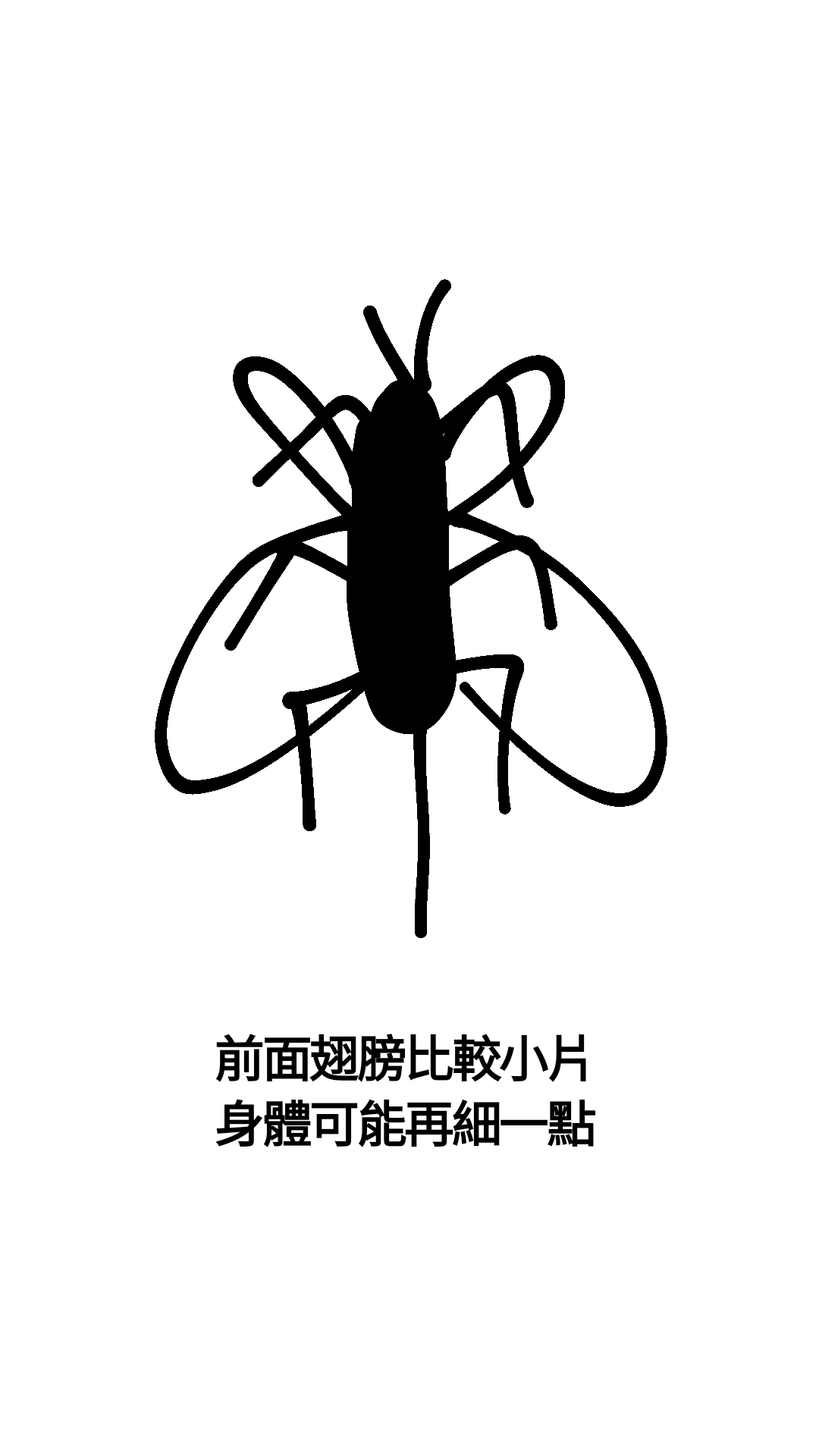 請益 請益 這是什麼蟲 昆蟲板 Dcard