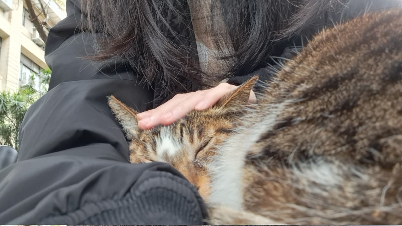 10個燒賣小知識 之二 - 北科大板 | Dcard