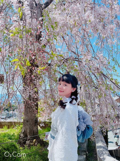 #資訊、#行程分享 蕾絲和服-okimono - 日本旅遊板 | Dcard