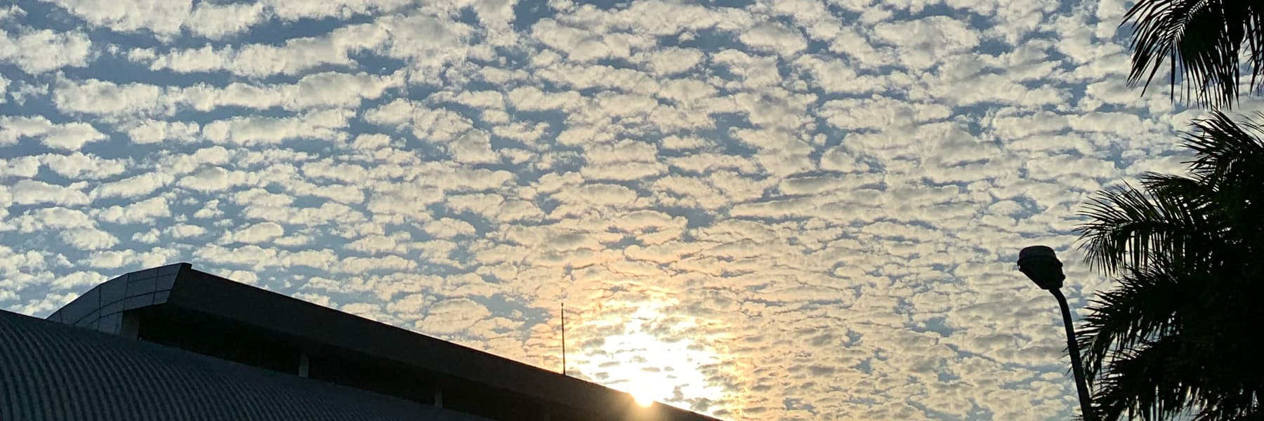 Mac☀️ (@maccccc_1995) 的公開頁面 | Dcard