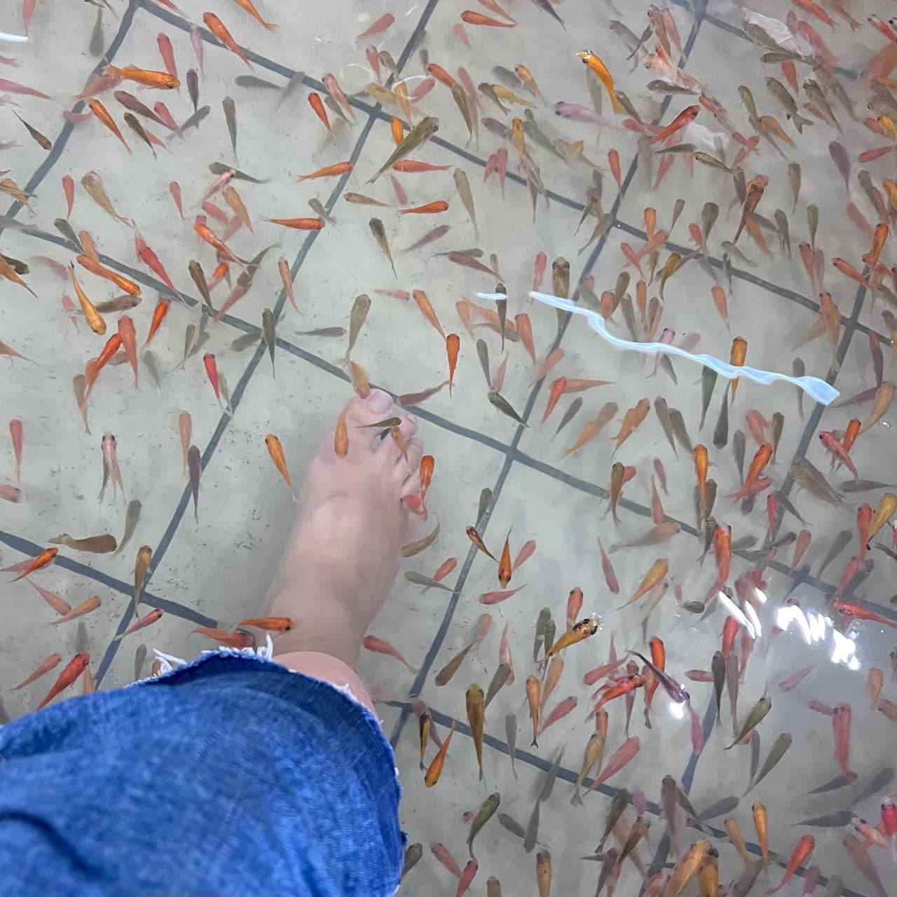 2天1夜宜蘭Plog📸 Day.2 - 三點水のChing (@ching2000) | Dcard