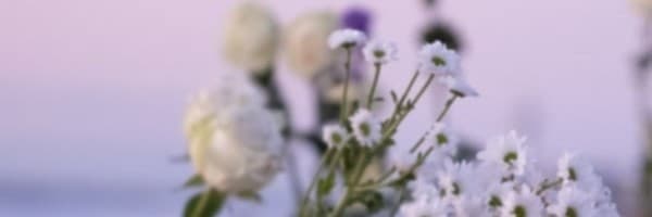 人間過客 (@tf030121) | Dcard