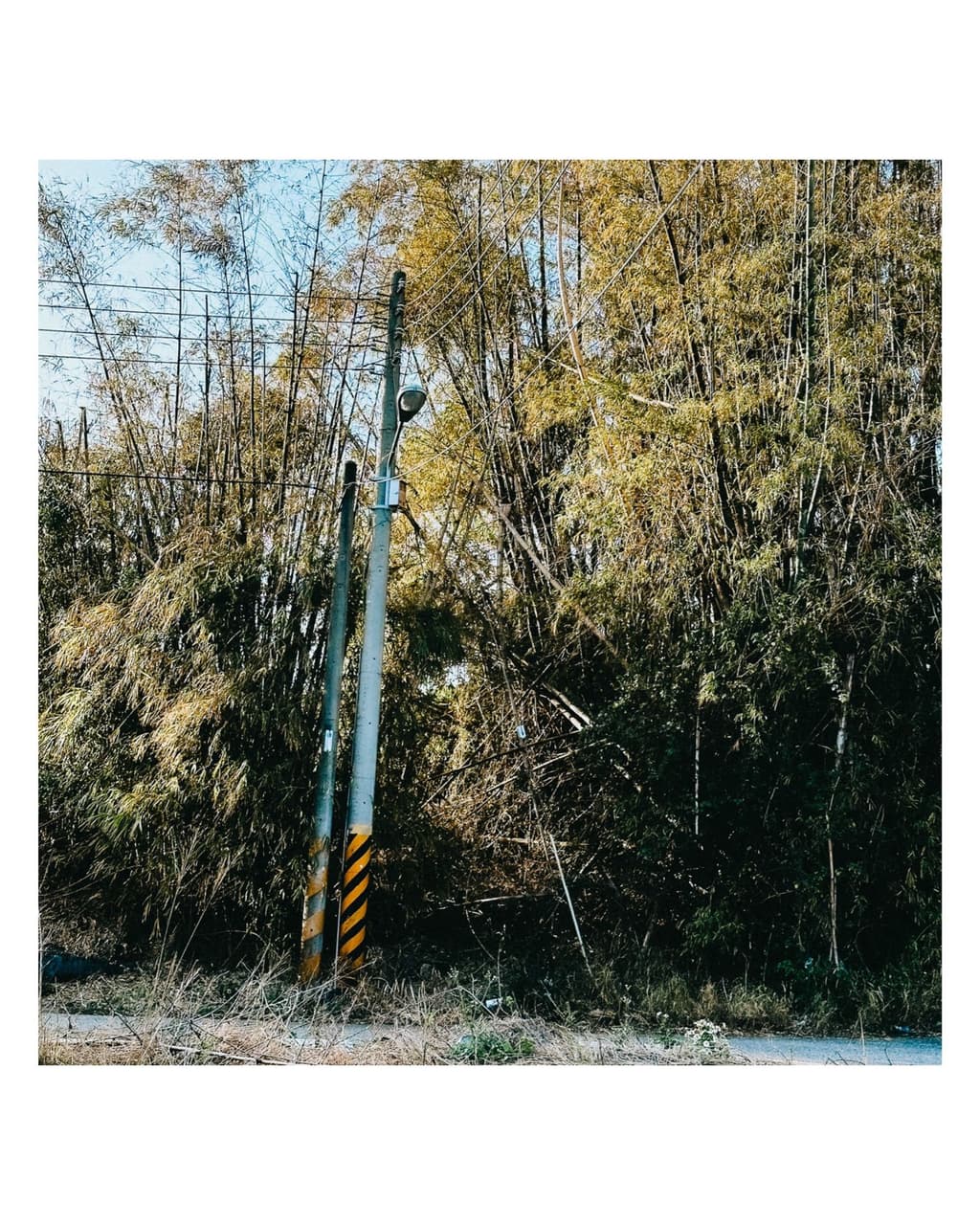 #教學 手機就能完成照片調色？Lightroom進階篇 - 攝影板 | Dcard