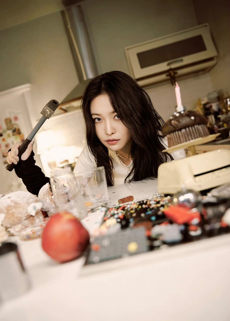 Red Velvet 『 The ReVe Festival 2022 Birthday 』DIGIPACK版/SMini Ver - Red ...