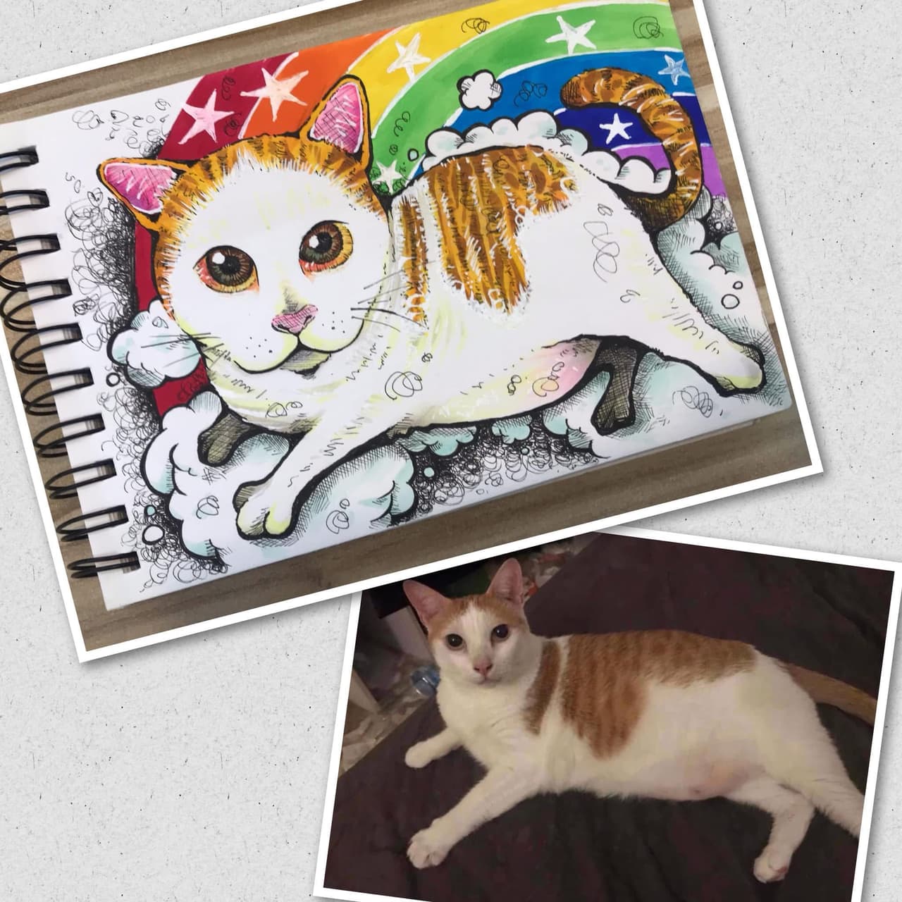 My ART - 寵物板 | Dcard