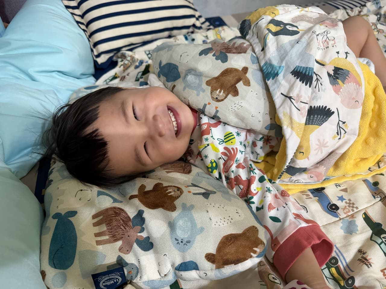 #分享 寶寶枕頭推薦 - 親子板 | Dcard