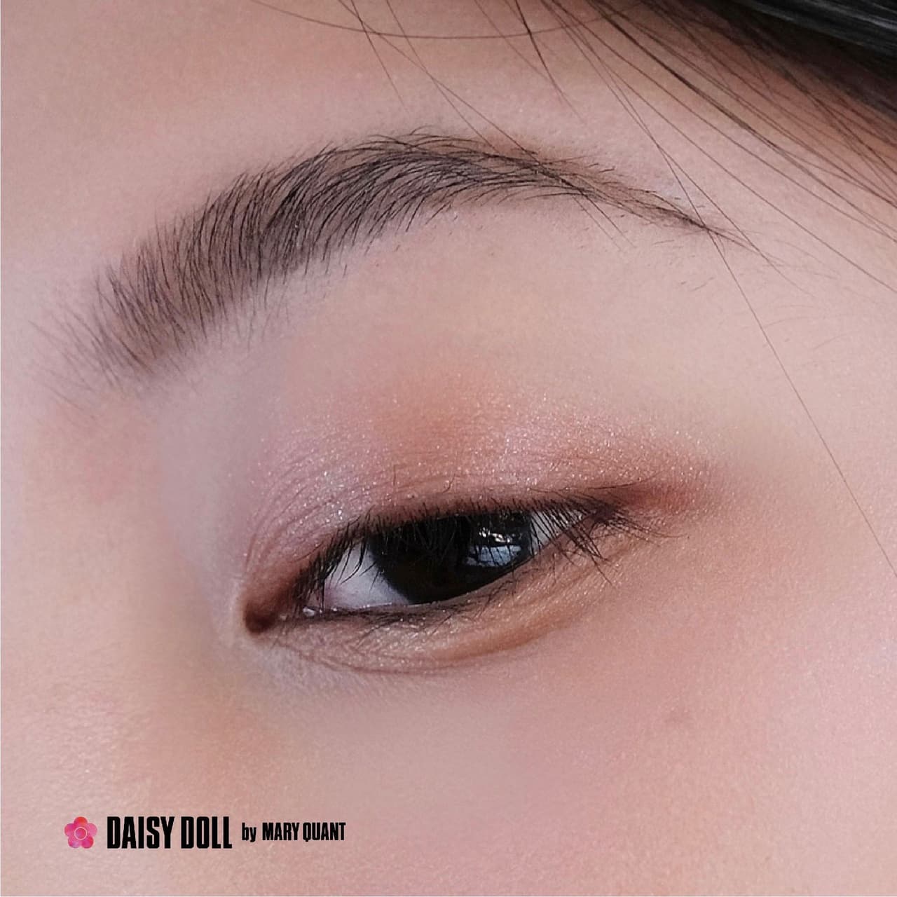 日本最真實評比的美妝雜誌 LDK 評比第一位的薰衣草腮紫💜Daisy Doll夏日新品試色 - 小明同學🌻 (@mying_1) | Dcard