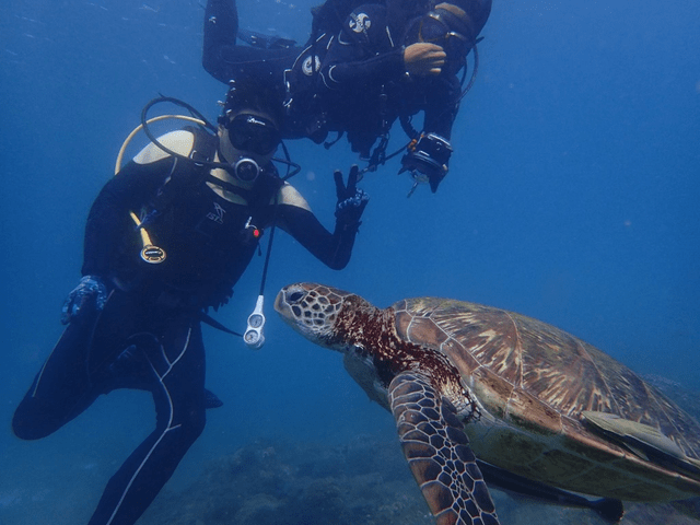 【澎湖潛水推薦】體驗 Fun Dive 考照前必看，4 間澎湖水肺潛水店評比🤿 - 七分之二的探索 (@twosevenths72) | Dcard