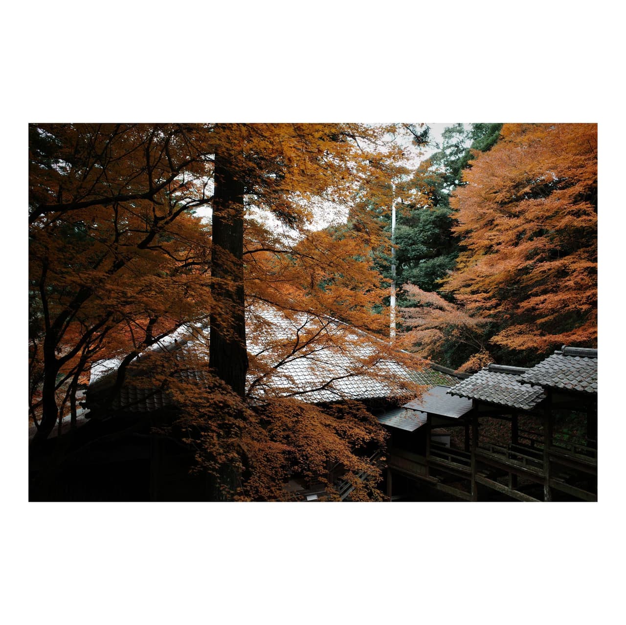 #作品 GR3 福岡隨拍 - 攝影板 | Dcard