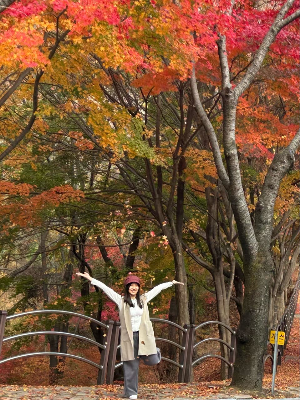 客家千金 (@im1dollar) | Dcard