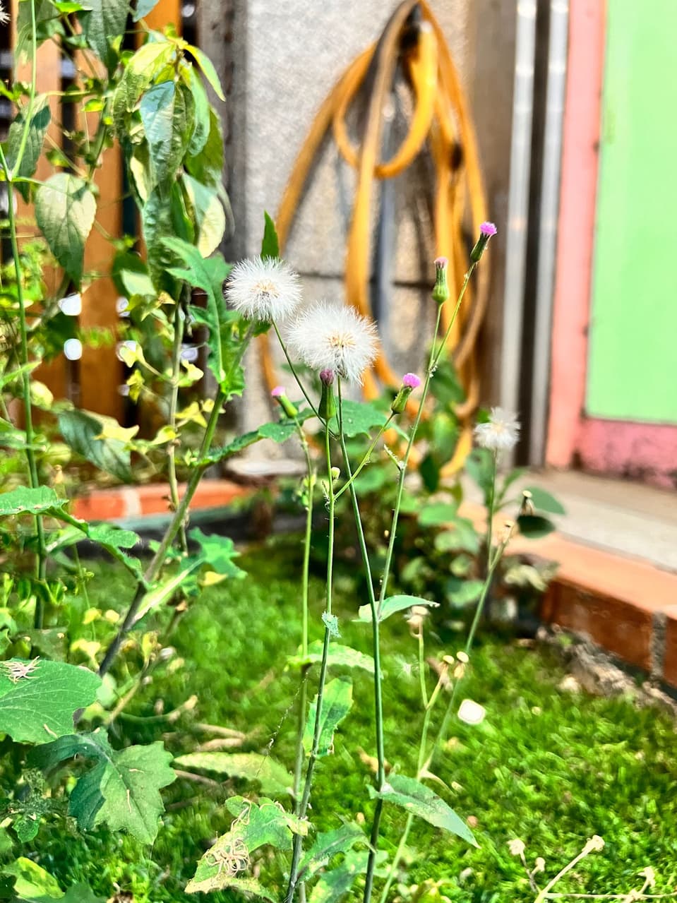 真的受夠G8 木頭直男 - 感情板 | Dcard