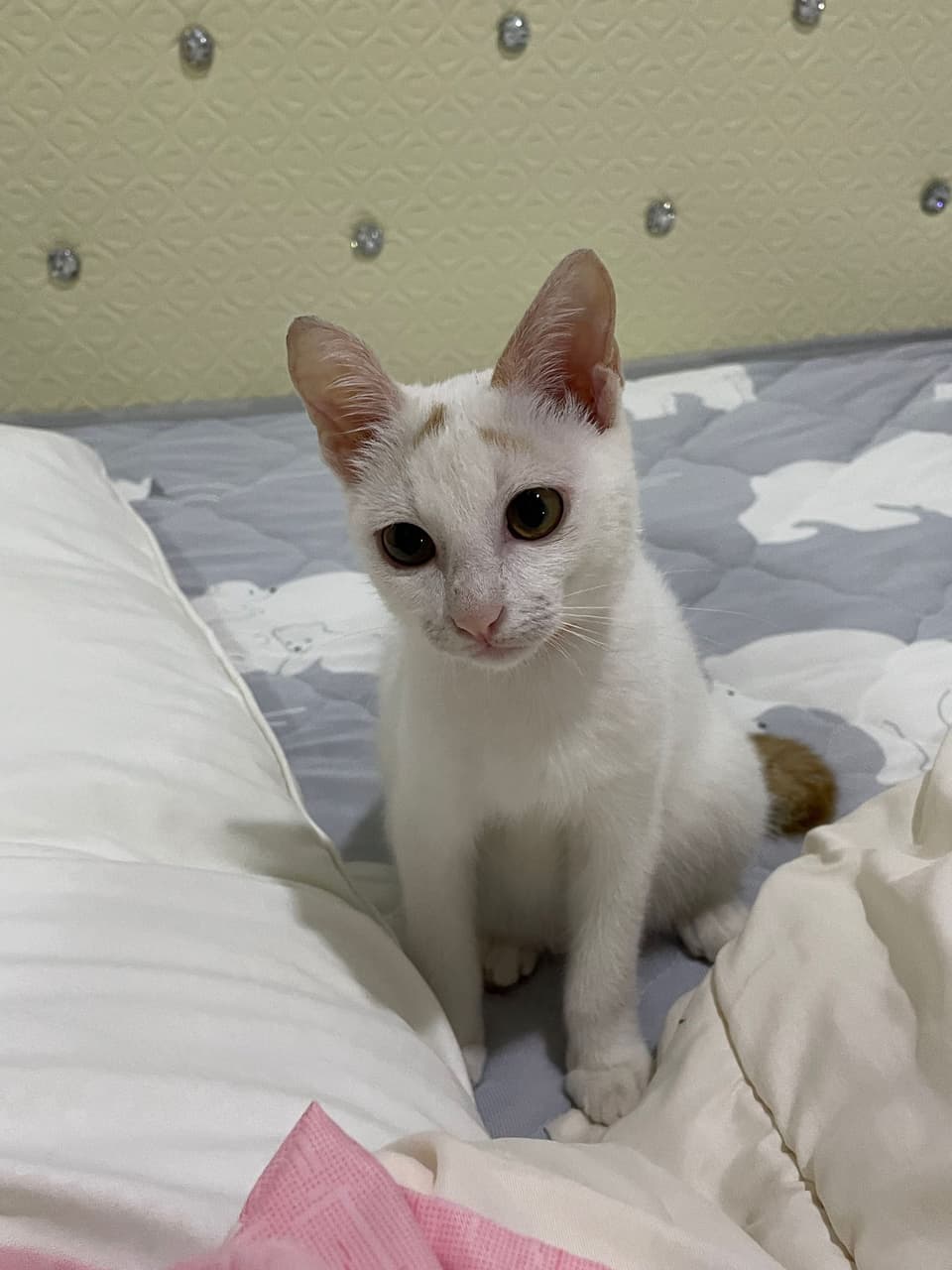 可以不要再打 SOLD OUT 了嗎 - B334 留言 | Dcard