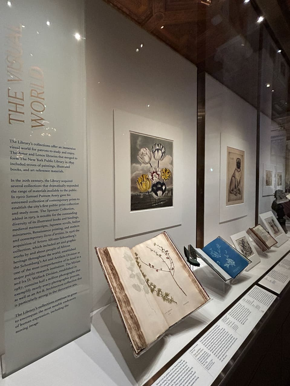 #國外 #旅遊分享美國留學生-[去哪玩ep7] New York - 旅遊板 | Dcard