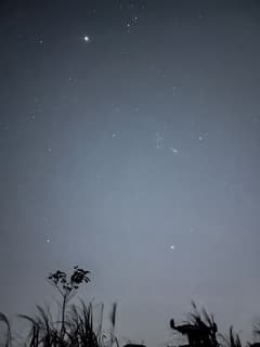 卡稱就是屁股的意思 (@jobanos) | Dcard