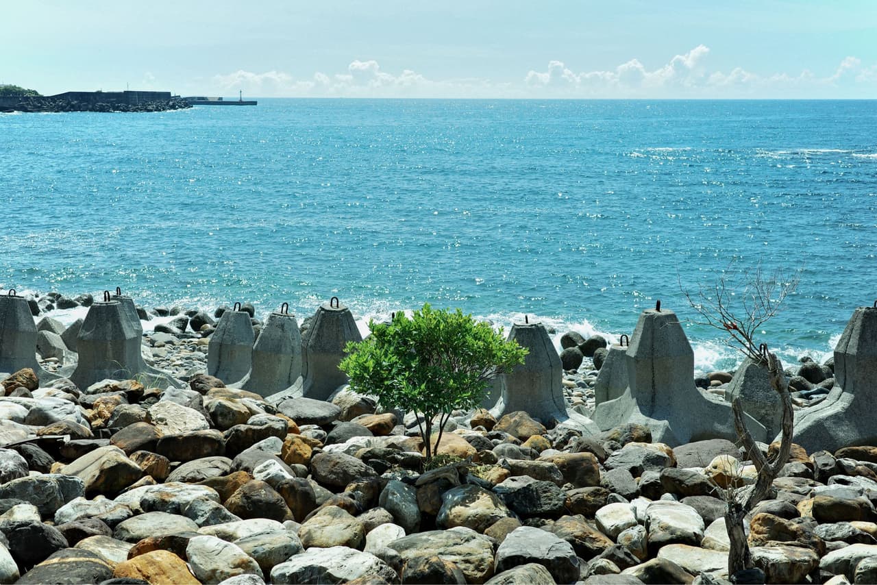 #作品 GR3X初體驗 - 攝影板 | Dcard