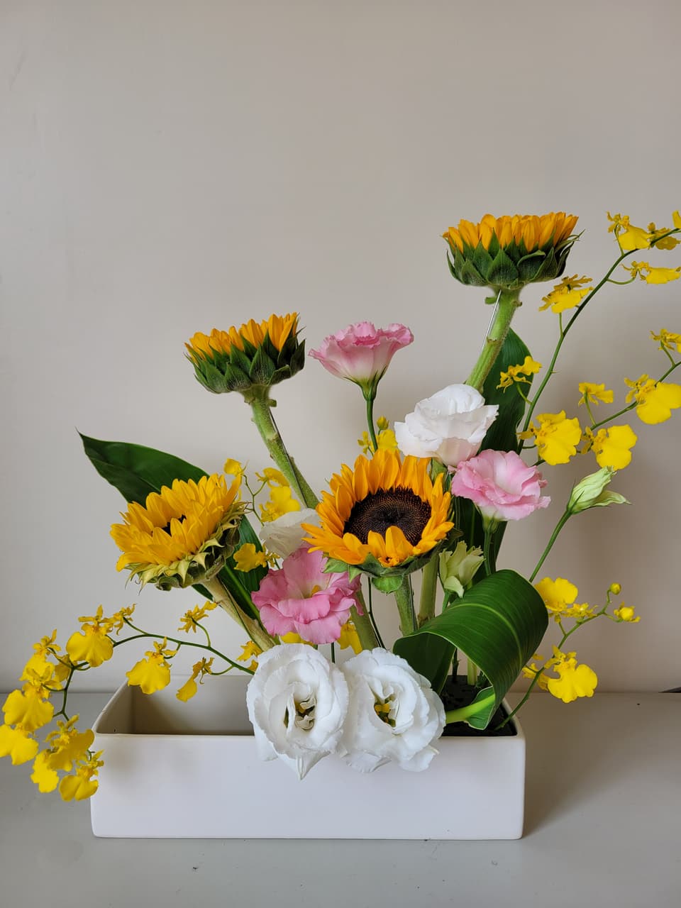 很高的Y小姐 (@yu_0102) | Dcard