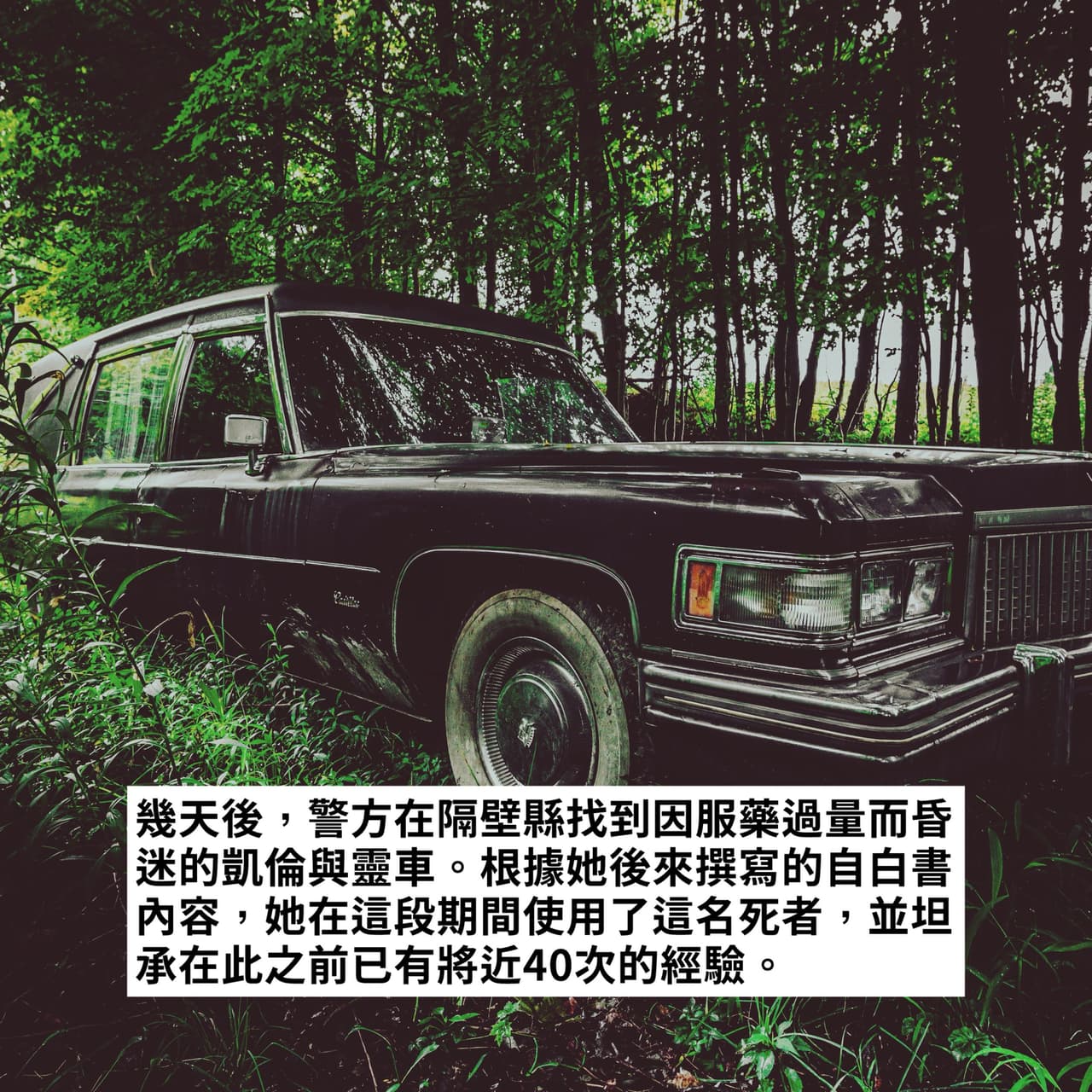 #歷史梗圖 借用一下 - 豆腐( ･᷄ὢ･᷅ ) (@tofutaiwanese) | Dcard