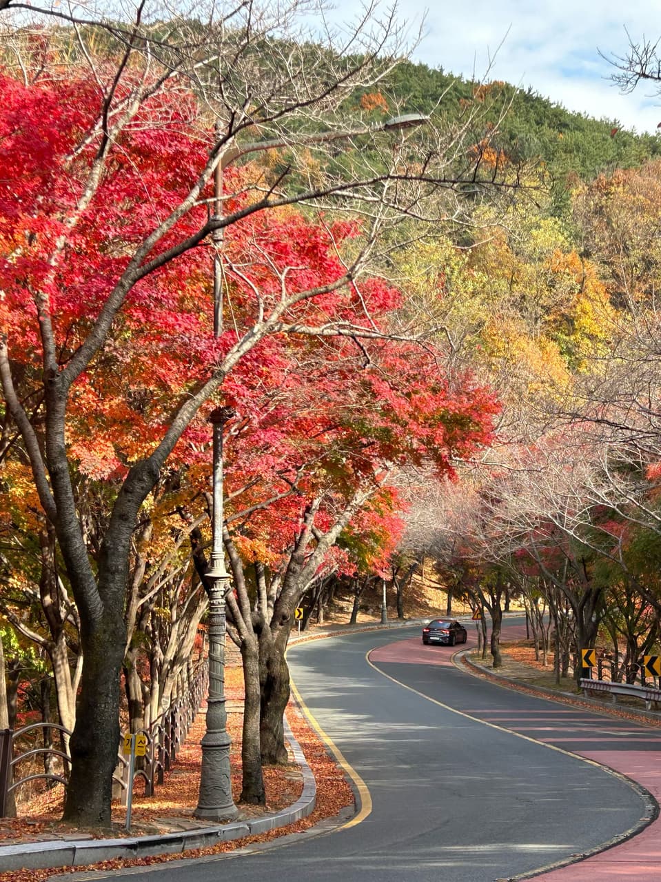 客家千金 (@im1dollar) | Dcard