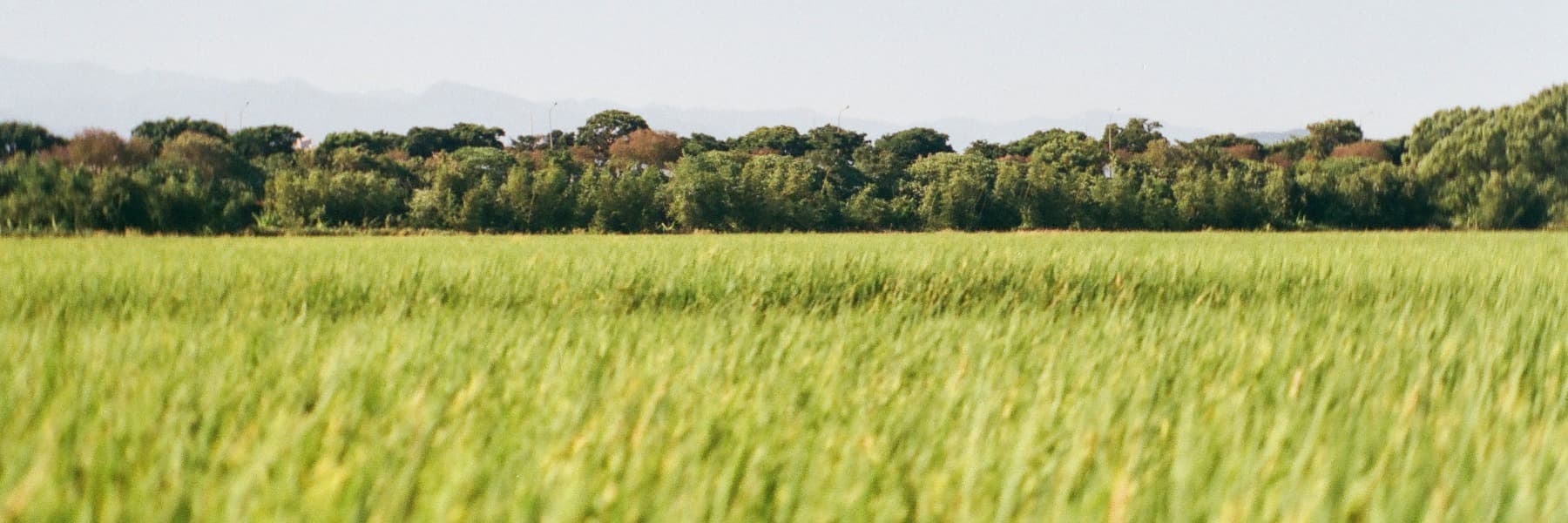 Kuzu社長 (@shawn0511) | Dcard