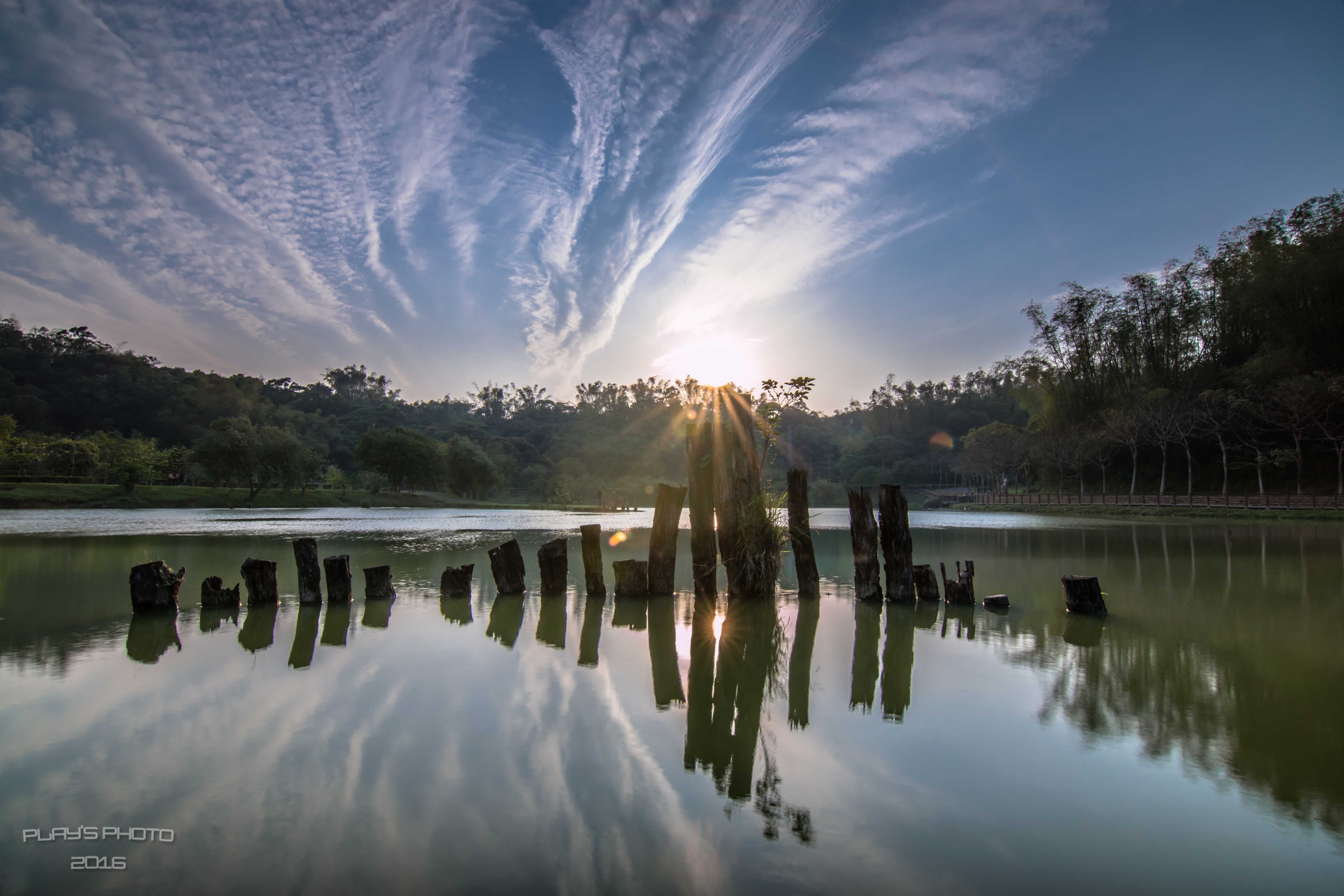 #作品 屏科大 NPUST - 攝影板 | Dcard