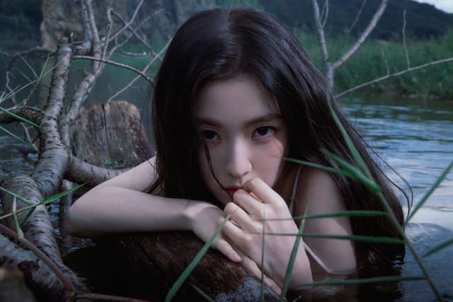 #情報 🎀 IRENE SOLO《Like A Flower》專輯配置 - 追星板 | Dcard