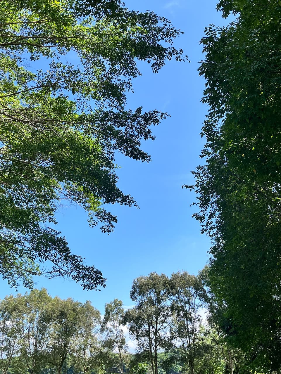 手机里的UTAR📷 - UTAR板 | Dcard