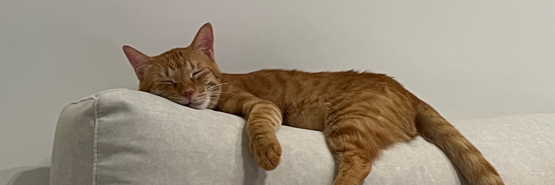 CK (@cyf0622) | Dcard