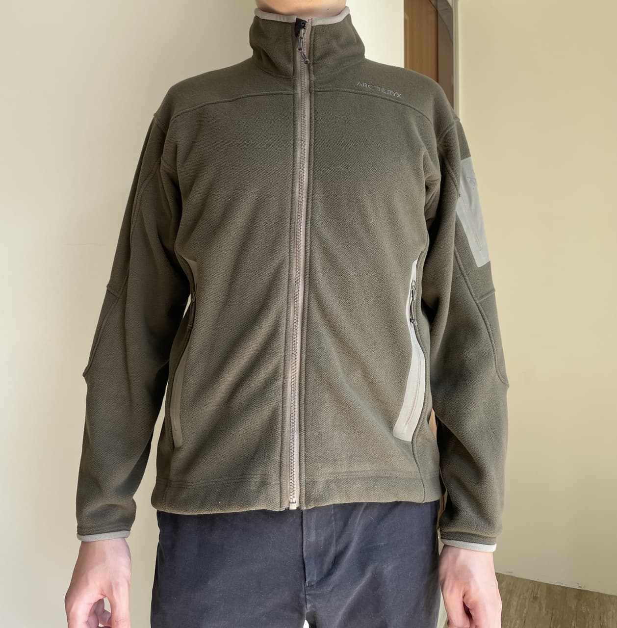 #分享 Arc'teryx 始祖鳥 Arc’teryx Maverick AR 2012 VS. Delta LT 2022 抓絨相互比較 ...