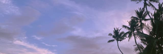 麻雀與豬 (@yuyu_65) | Dcard