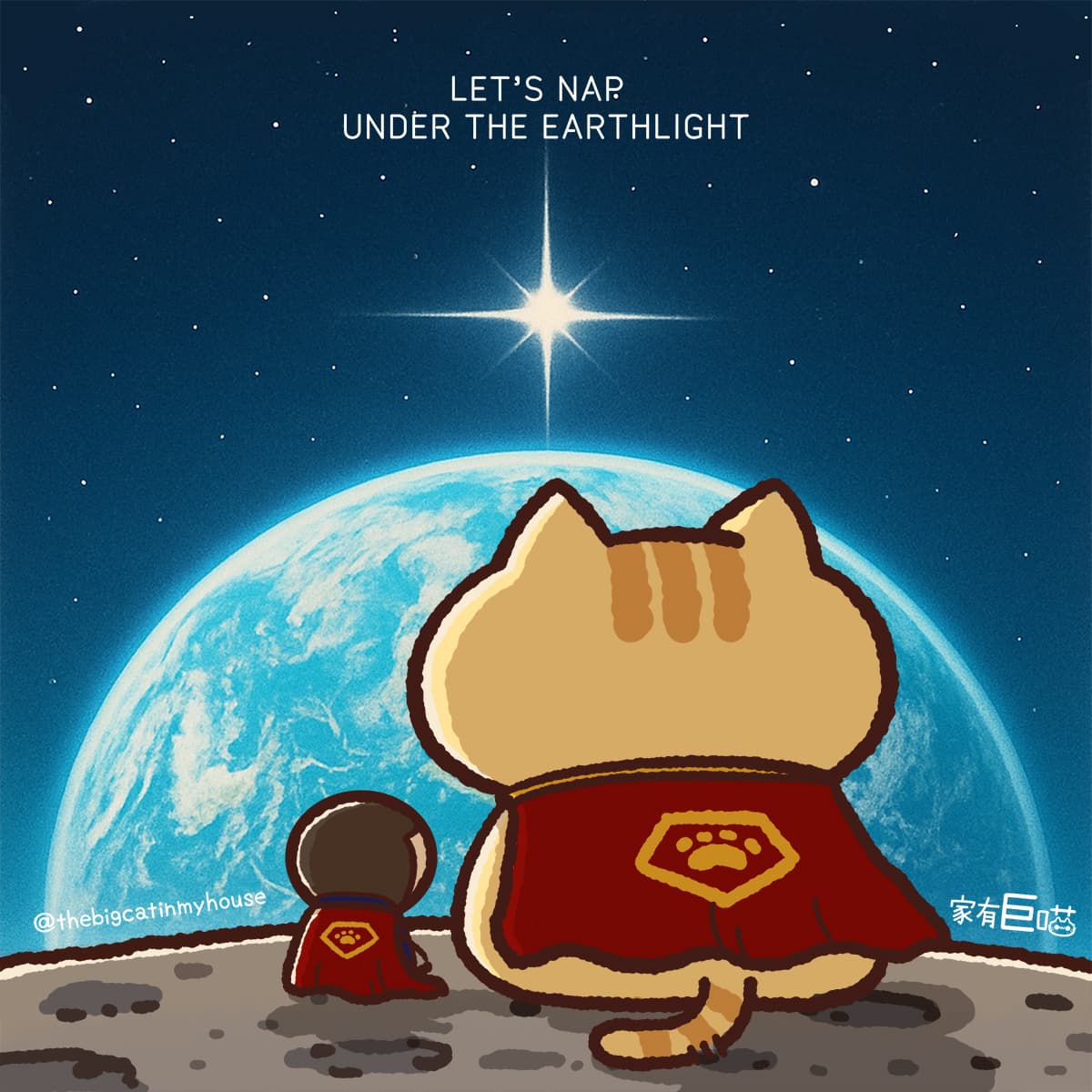 致超人：你有氪普托，我有巨喵 Dear Superman：You have Krypto, I have Big cat - 家有巨喵 (@bigcatinmyhouse) | Dcard