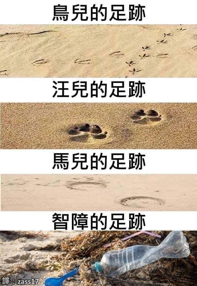 真的 梗圖板 Dcard