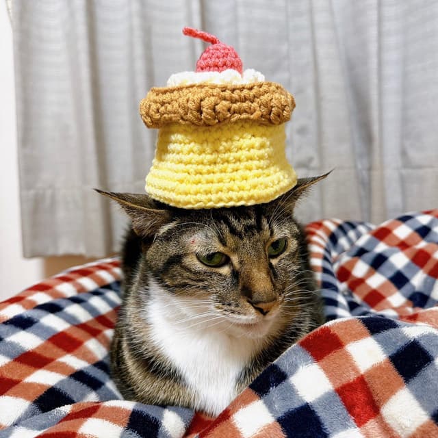 🍮 編織布丁收納盒 🍮 - 蔓蒂 ♡ (@mandy_mmm) | Dcard