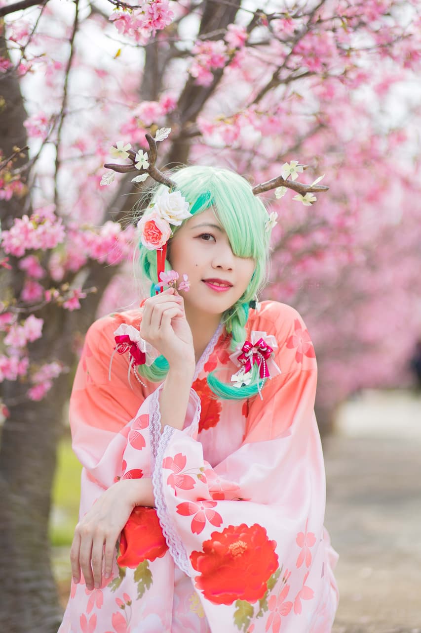 Fauna 櫻花正月 - Cosplay板 | Dcard
