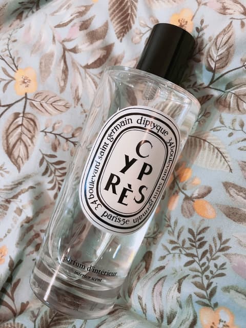 #分享 Diptyque 青蕨淡香精，以及其他香氛類產品(文長) - 美妝板 | Dcard