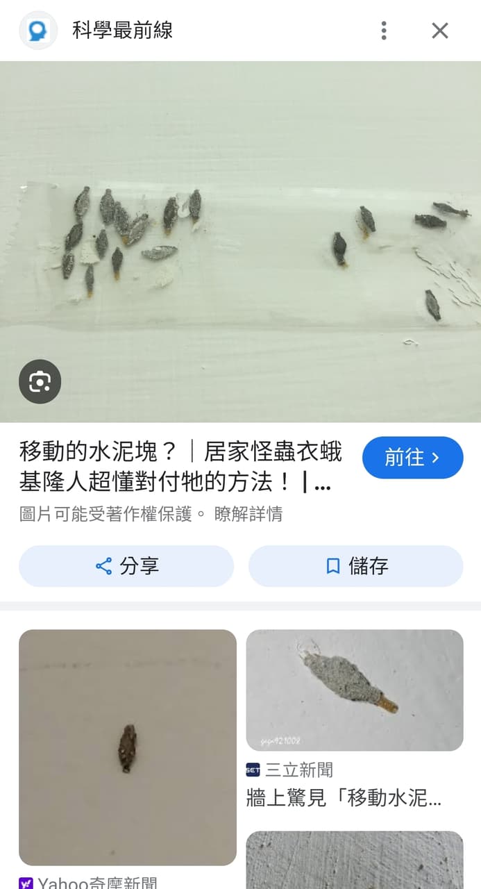 請益 請益 這是什麼蟲子是否有害? 昆蟲板 Dcard
