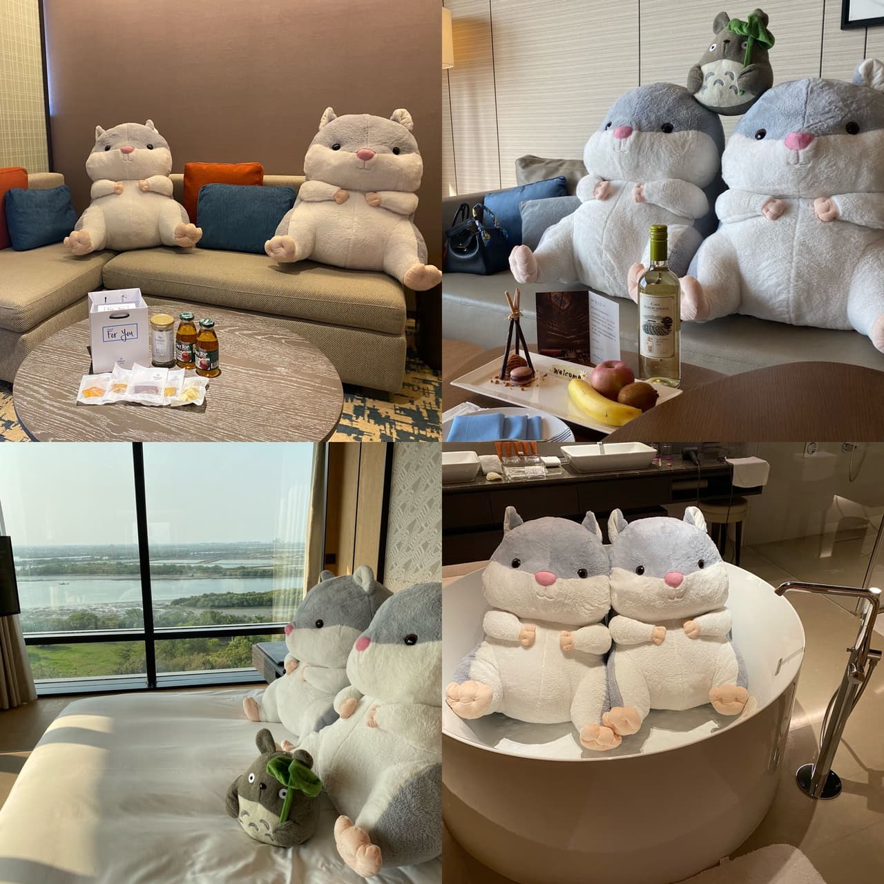 文長 關於我家小老鼠🐭 - 凱倫 (@karen_food_map) | Dcard