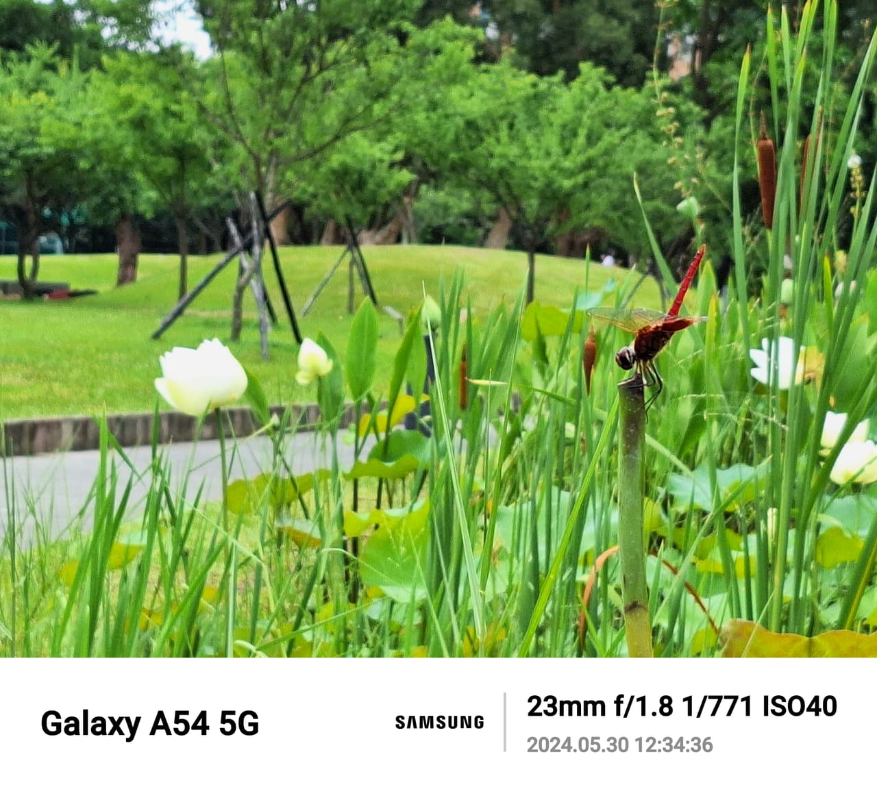 #分享 三星A54手機街拍 - 3C板 | Dcard