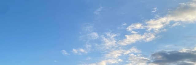 鶯儀 (@ines919) | Dcard