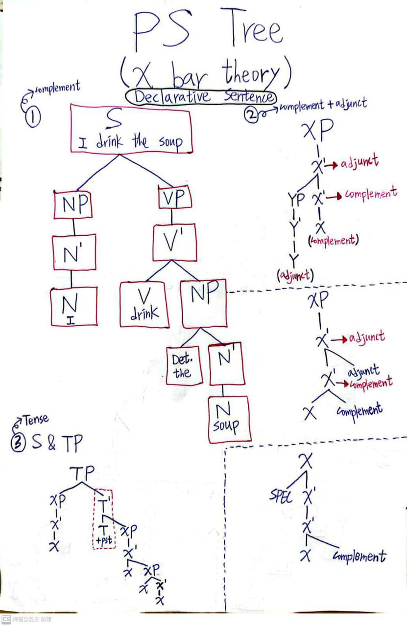 PS Tree from Syntax in Linguistics. (X Bar Theory) (Tree Diagram) - 明新科技大學板 | Dcard