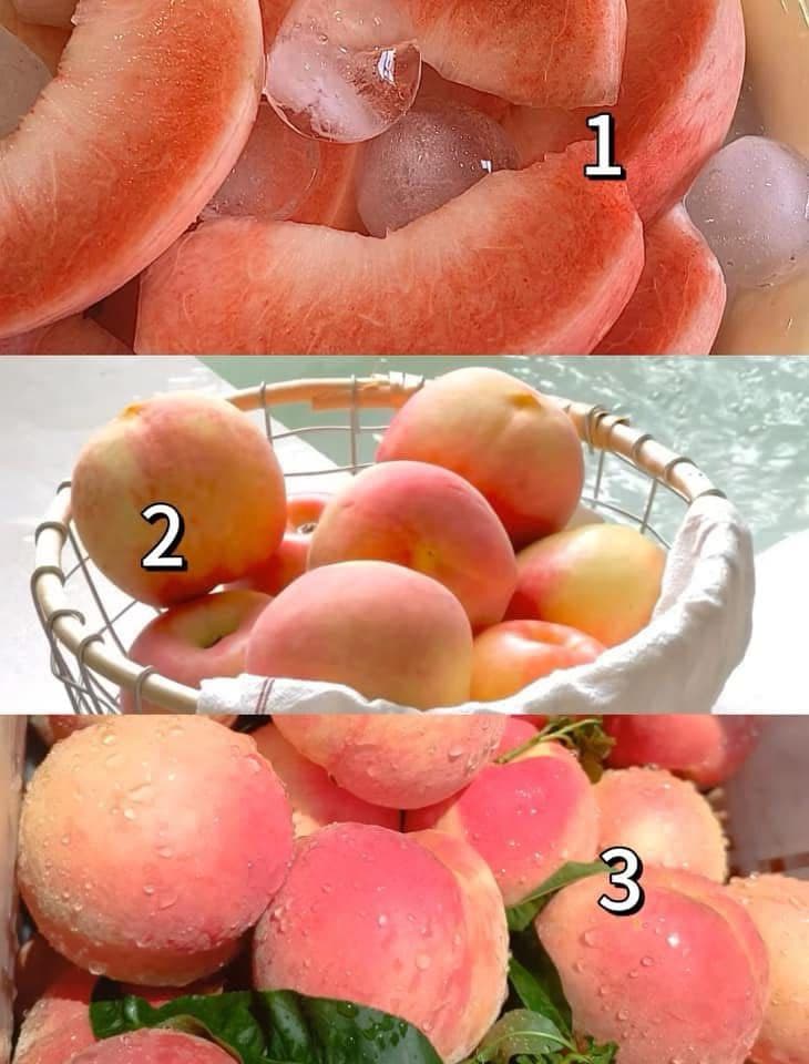 大眾占卜：什麼時候能結束單身？（附解析） - 伊薇特 (@lisa2314) | Dcard