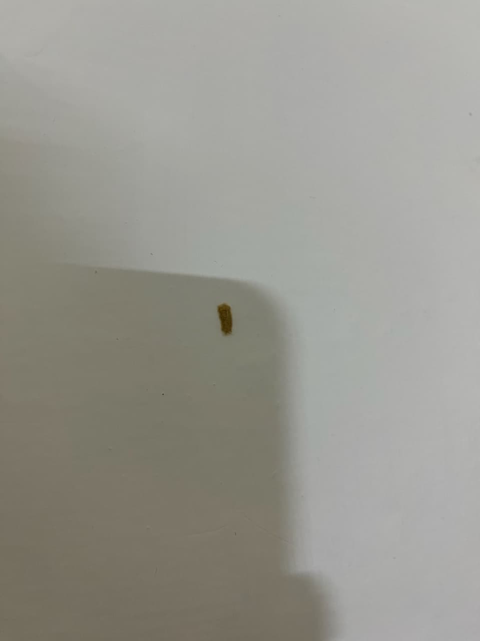 請益 有沒有人可以幫我看看這是什麼昆蟲的卵 昆蟲板 Dcard